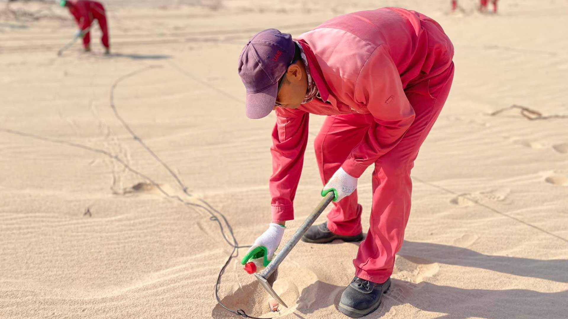 تزامنًا مع المسح الجيوفيزيائي لـ"أرامكو".. المركز ينثر 50 مليون بذرة في ...