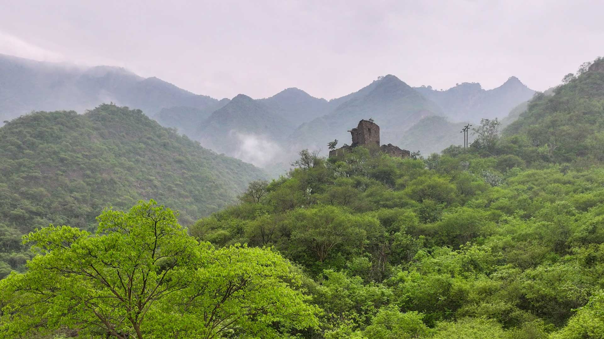 NCVC Participates in Environment Week Through Nationwide Environmental ...