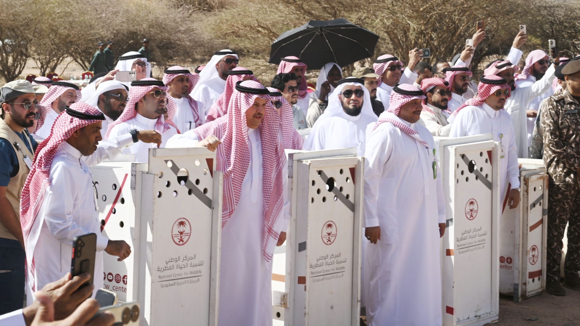 إطلاق عدد من الكائنات الفطرية في متنزه البيضاء البري بالمدينة المنورة