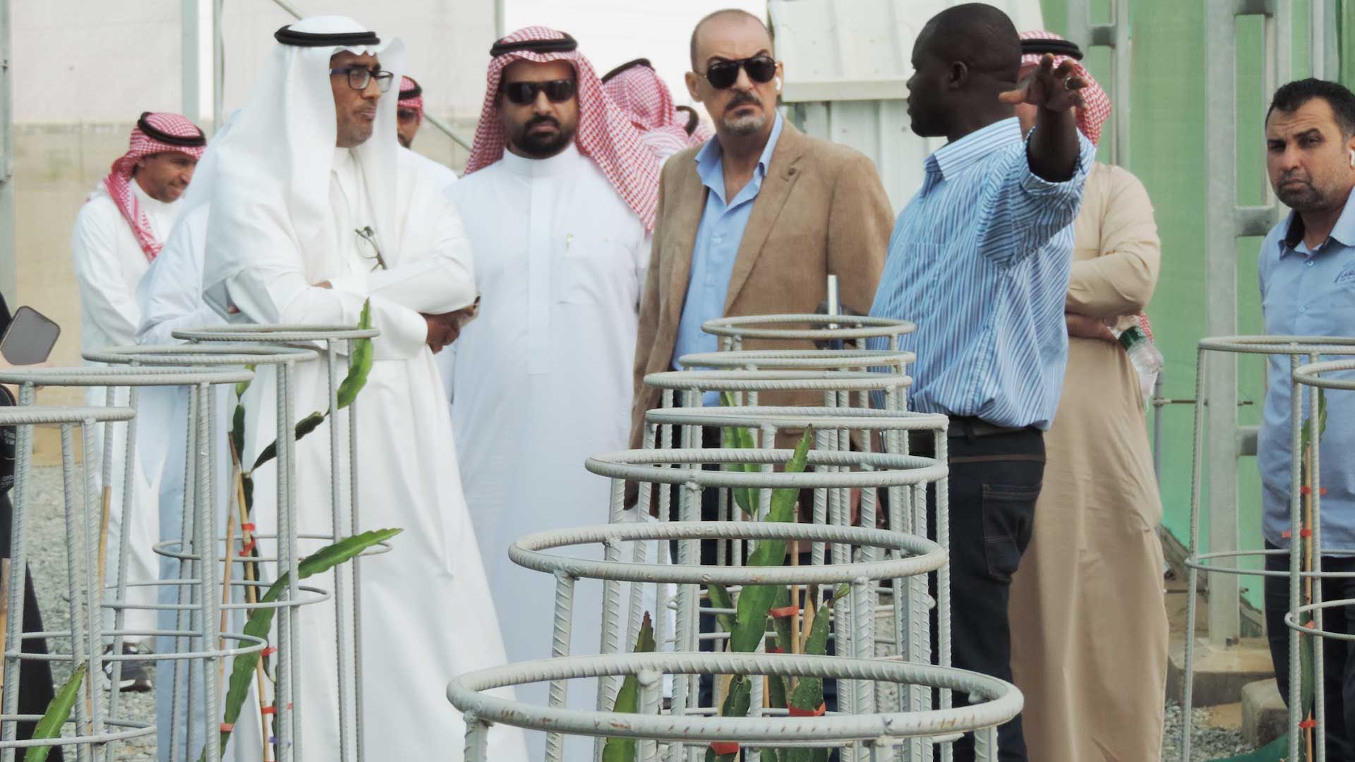 NCVC Strengthens Research Partnerships with KAUST and the University of ...