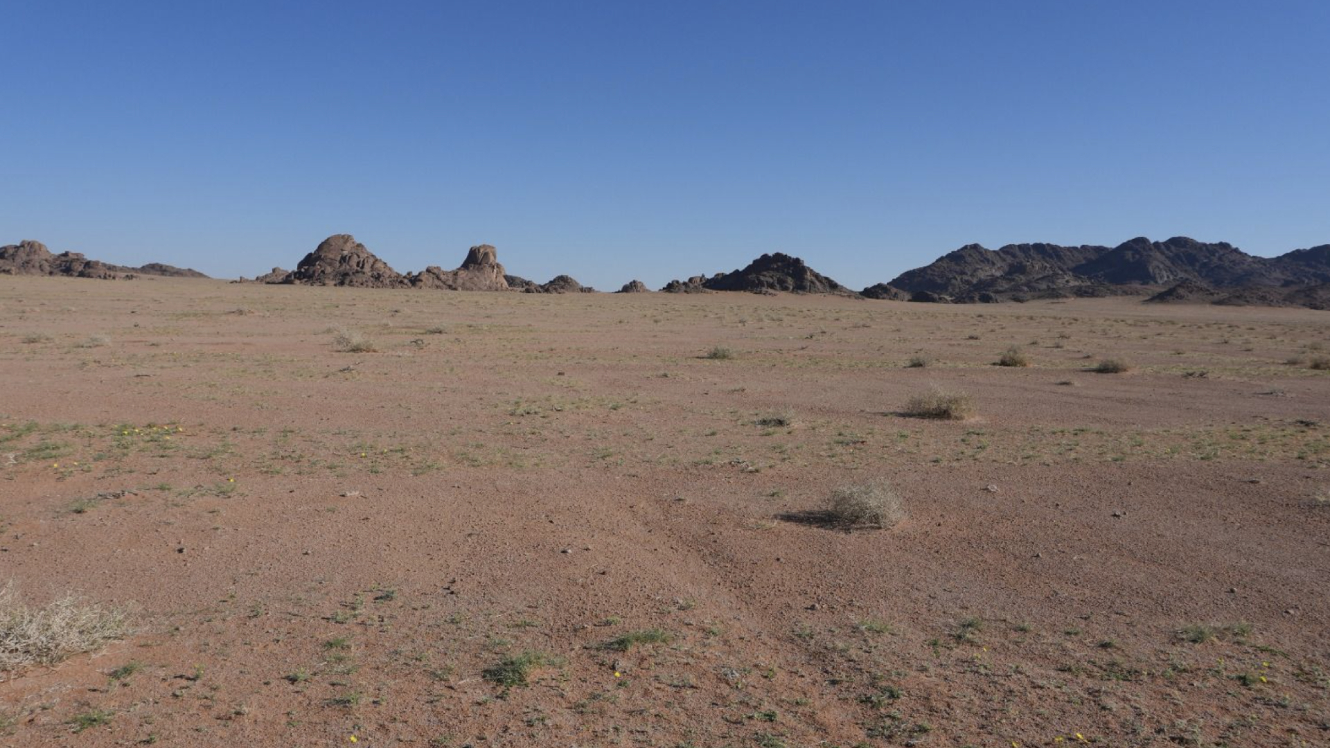 Developing the Executive Plan for Combating Desertification, Sand ...