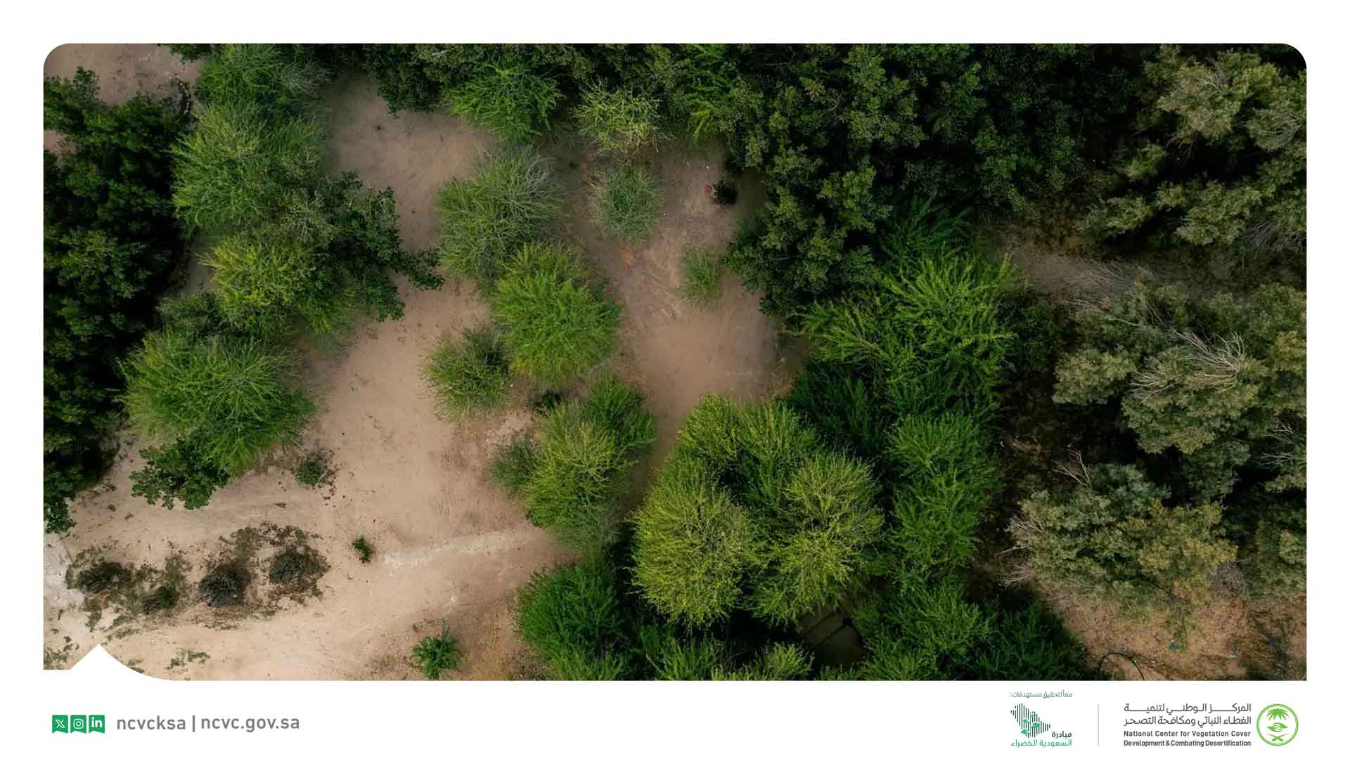 Seasonal Investment Opportunities Now Available in Eastern Region Parks