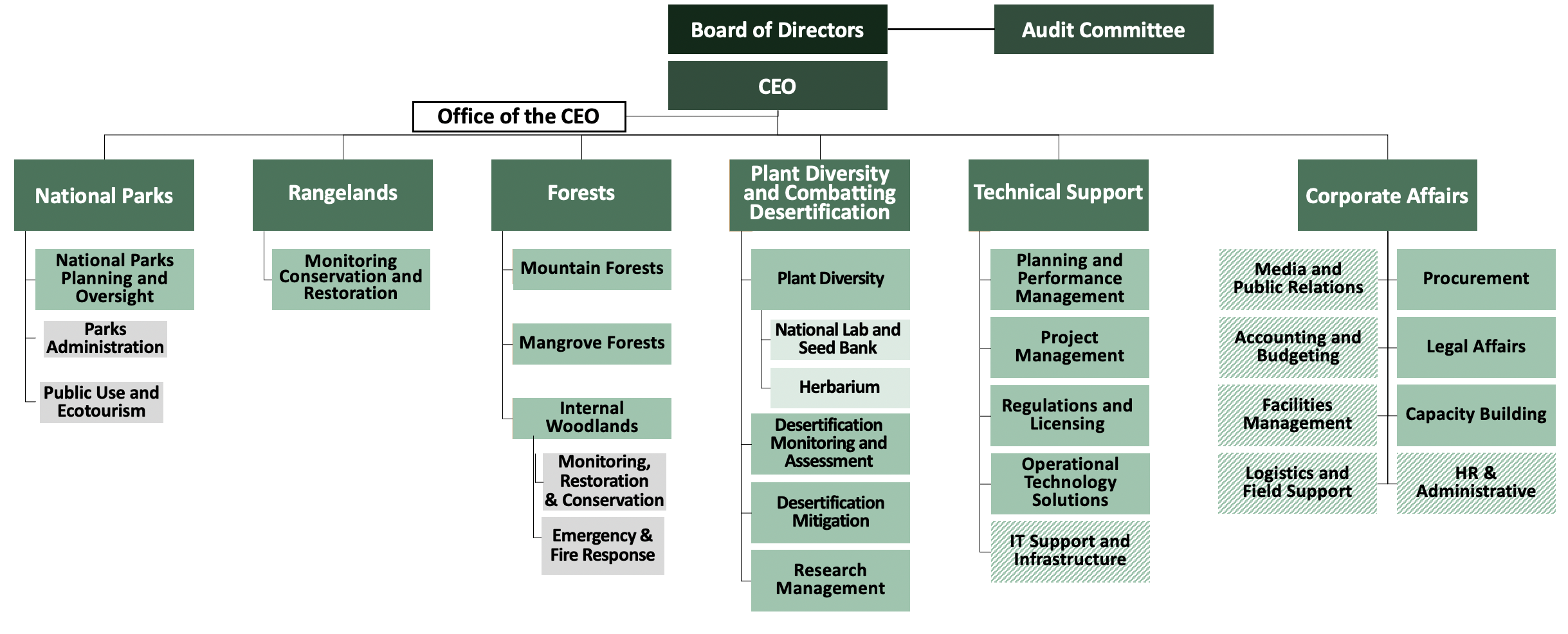 Organization Structure