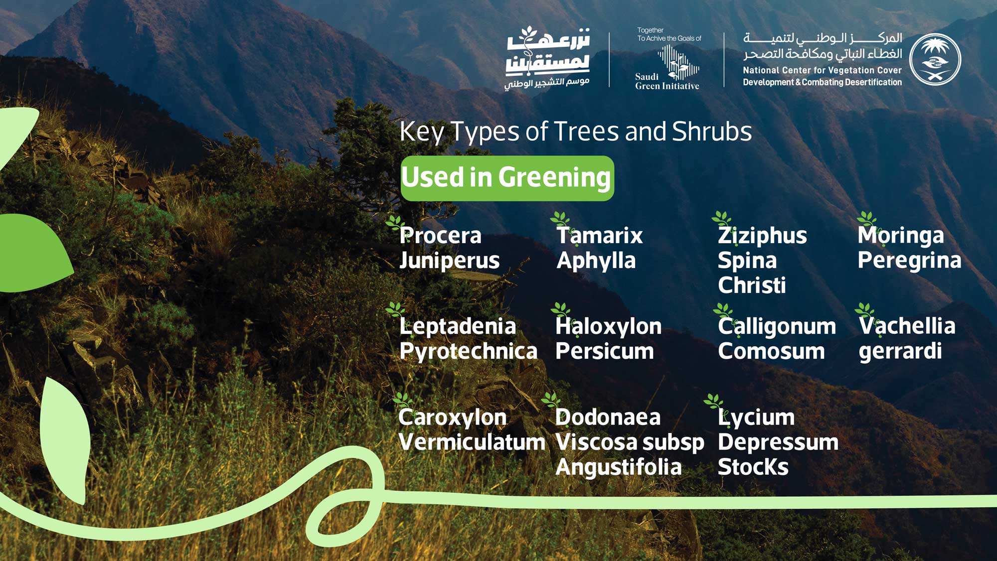 National Greening Season 2024